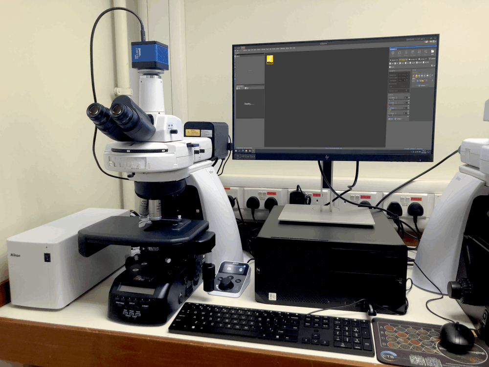 Product_Upright Microscope_Ni